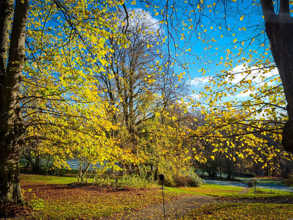 Last Days of Fall / Blogging again – Allan Harsmann